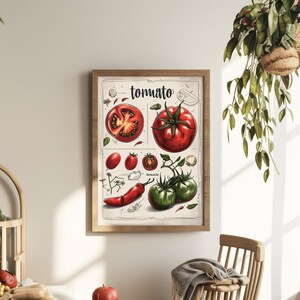 Botanical Anatomy Art Print • Tomato Illustration • Educational Digital ...