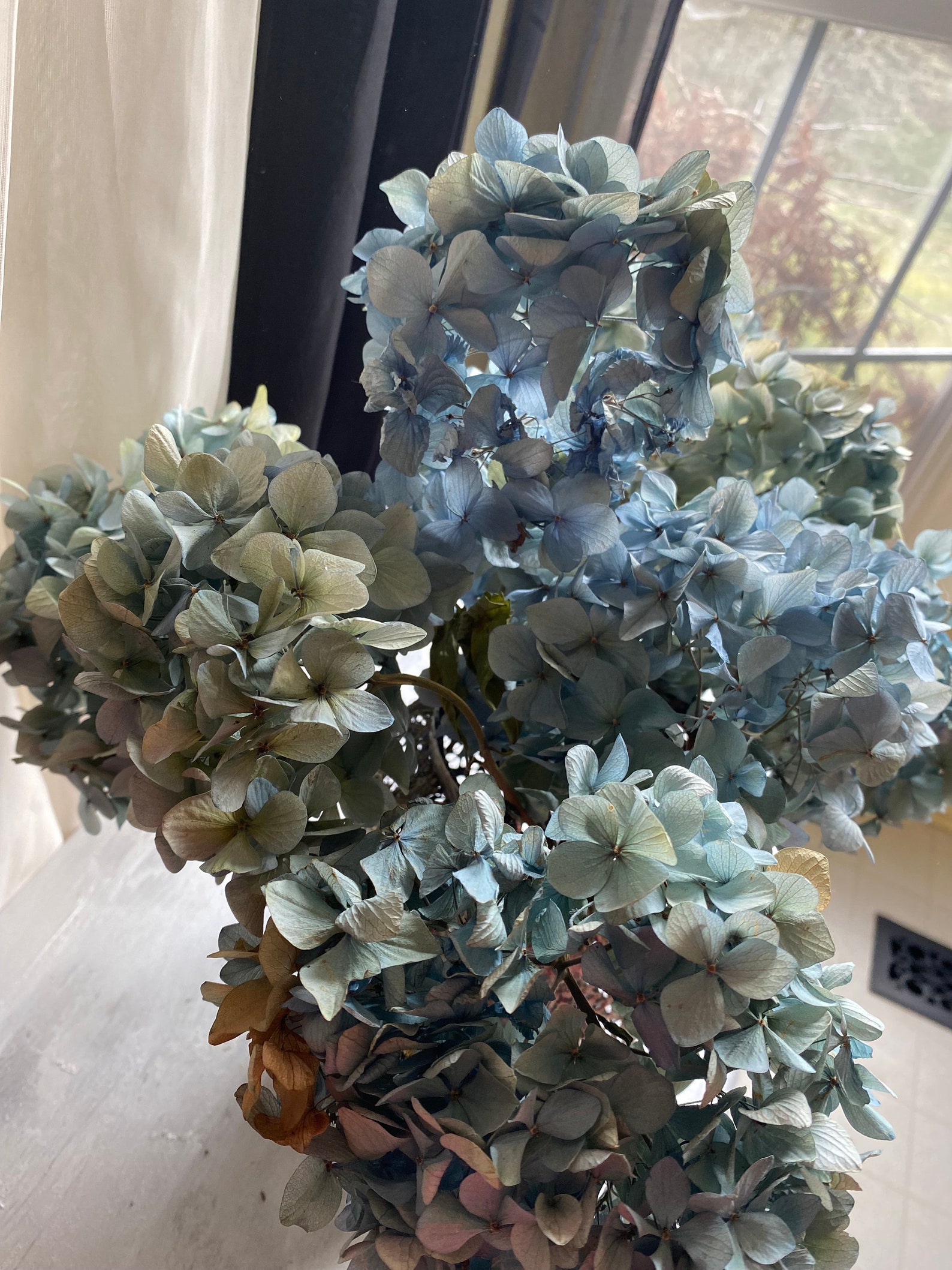 Real Beautiful Blue Dried Hydrangeas - Etsy