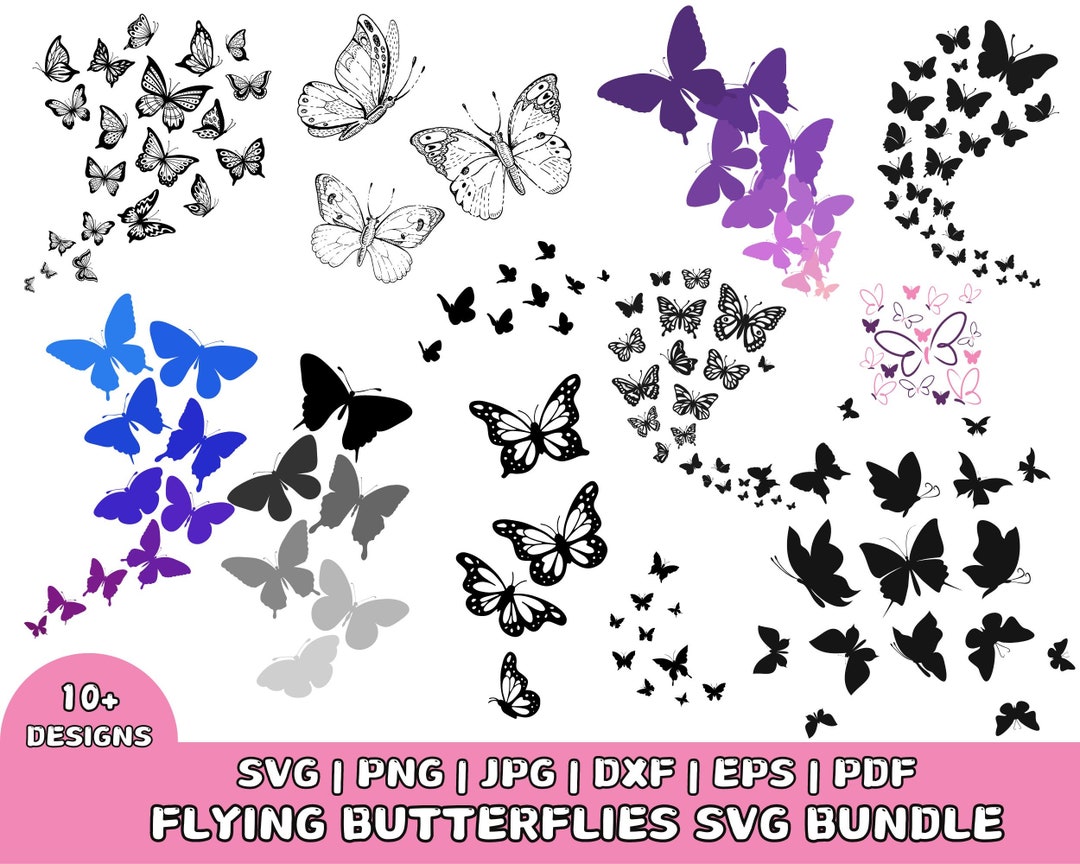 Flying Butterfli Svg Bundle, Layered Svg, Design Layout, Butterfly ...
