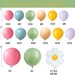 Daisy Flower Balloon Arch Kit 137PCS Pink and Green Yellow Wild Flower Balloons for Wild Flower ...