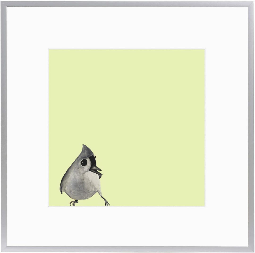 Tufted Titmouse Bird Art Print - Etsy