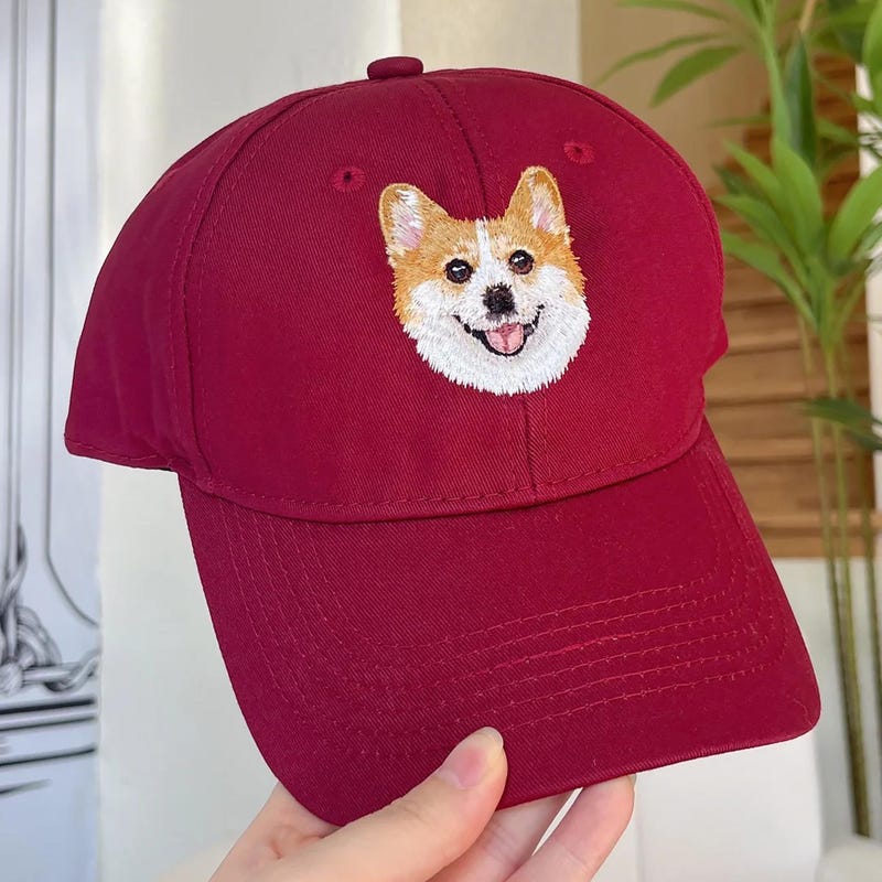 Pet Hat - Etsy