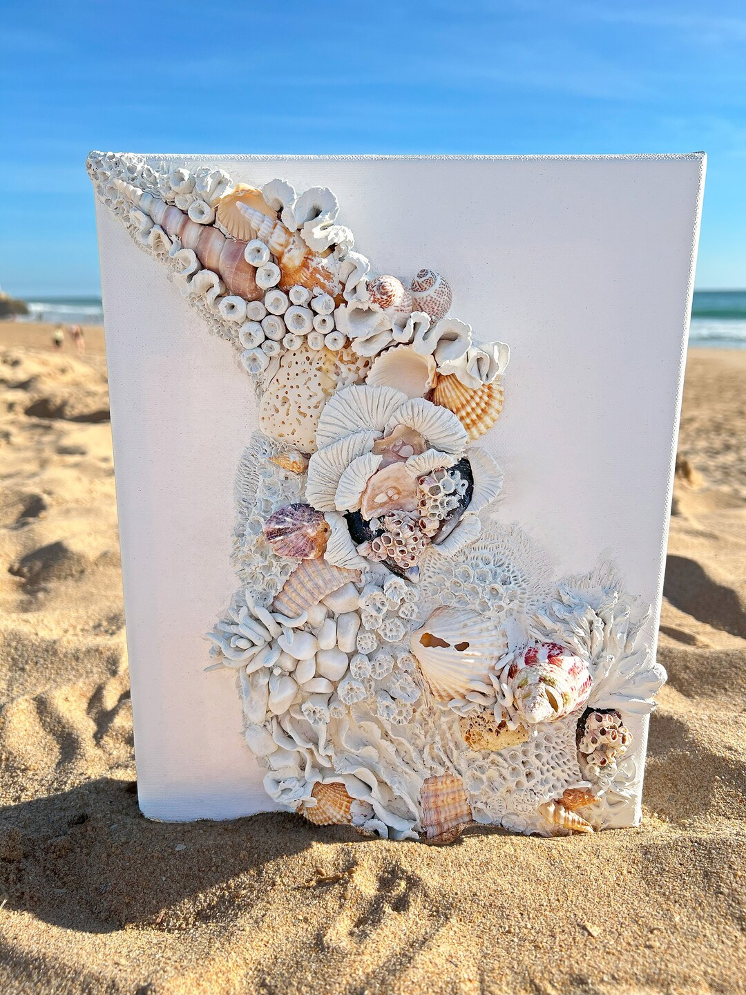 3D Fruits of the Sea Wall Sculpture With Hand-picked Seashells - Ocean ...