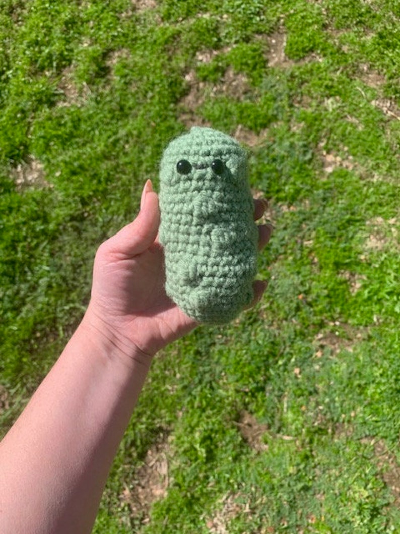 Crochet Pickle, Pickle Toy, Stuffed Pickle, Angry Pickle, Sad Pickle ...