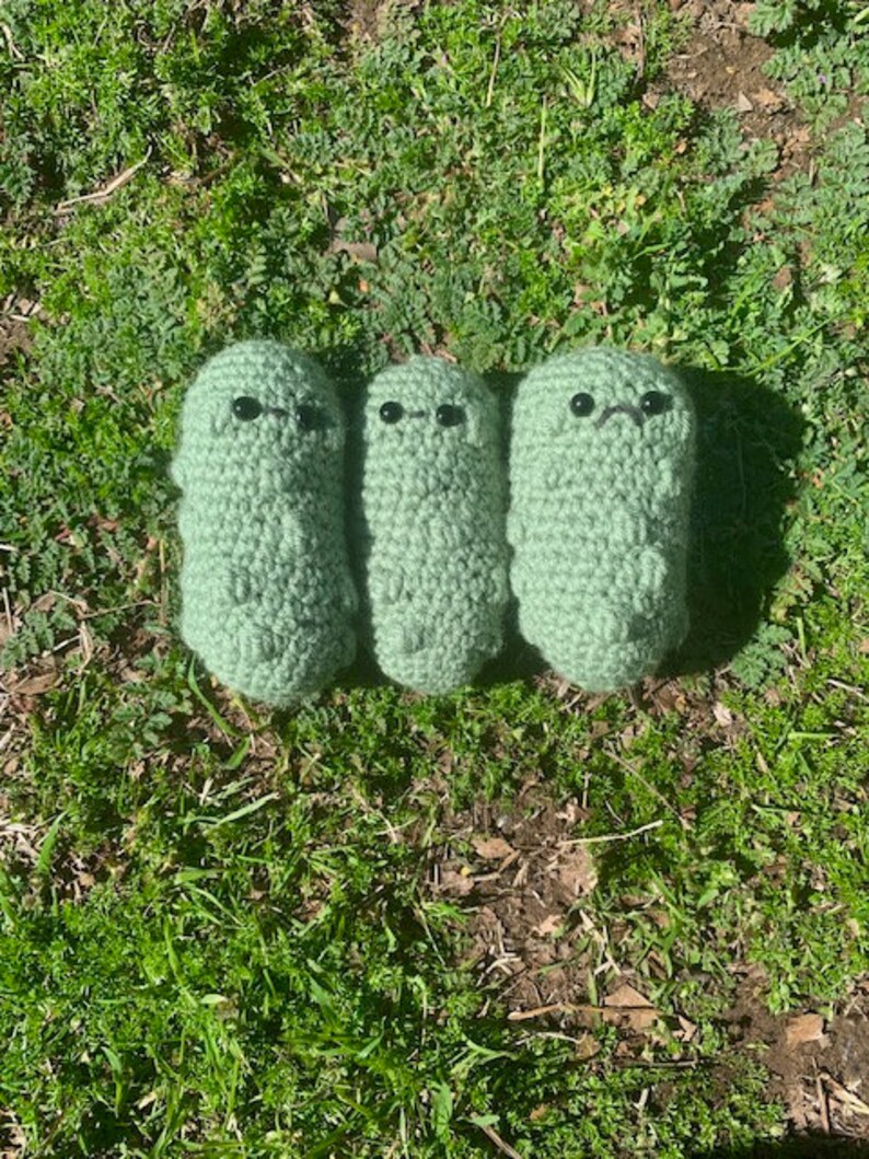 Crochet Pickle, Pickle Toy, Stuffed Pickle, Angry Pickle, Sad Pickle ...