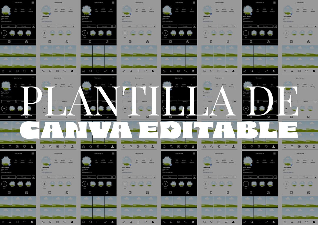 Instagram Profile Canva Template Etsy