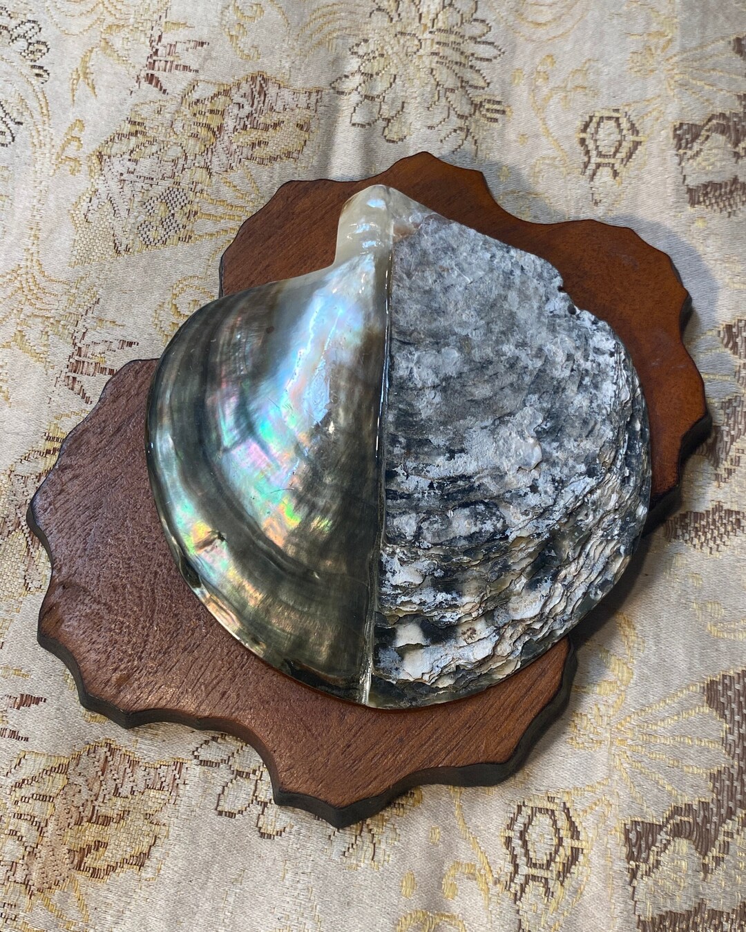 Vintage Mother of Pearl Shell Brooch - Etsy