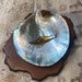 Vintage Mother of Pearl Shell Brooch - Etsy