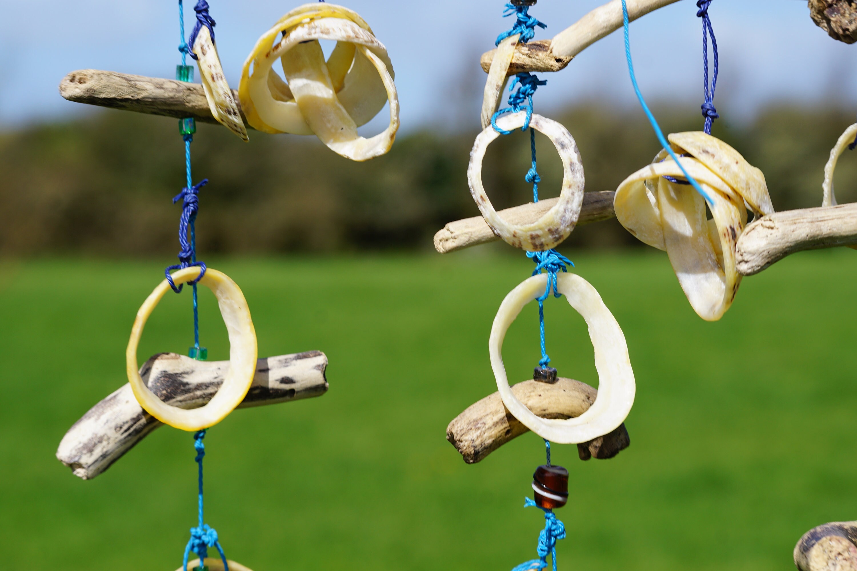 Wind Chimes, Driftwood and Shell, Seaside, Driftwood, Shell, Meditation ...