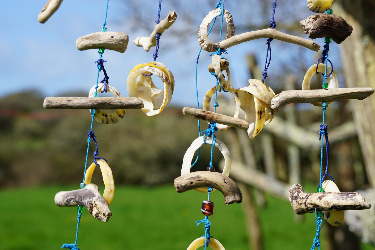 Wind Chimes, Driftwood and Shell, Seaside, Driftwood, Shell, Meditation ...