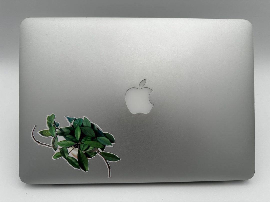 Hoya Carnosa Sticker - Etsy