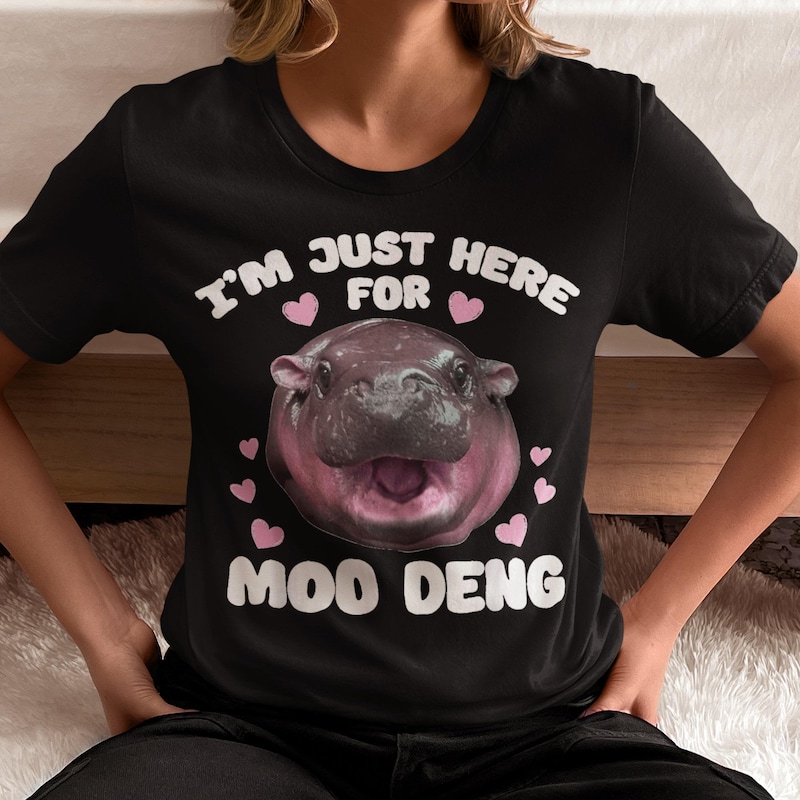 Moo Deng Costume - Etsy Canada