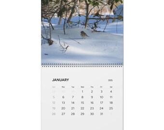 Michael Cochran Photography 2025 Wildlife Wall Calendar, Art, Home ...