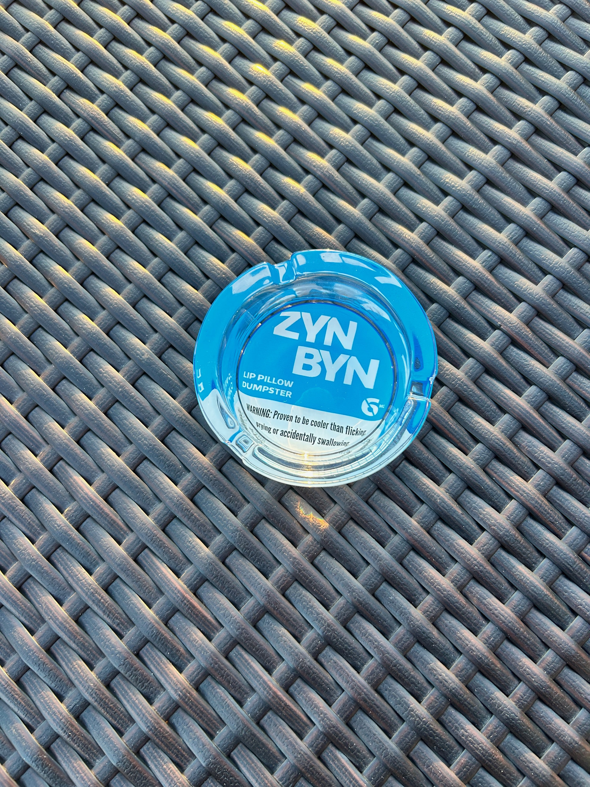 The Zynbyn: Official Lip Pillow Dumpster - Etsy