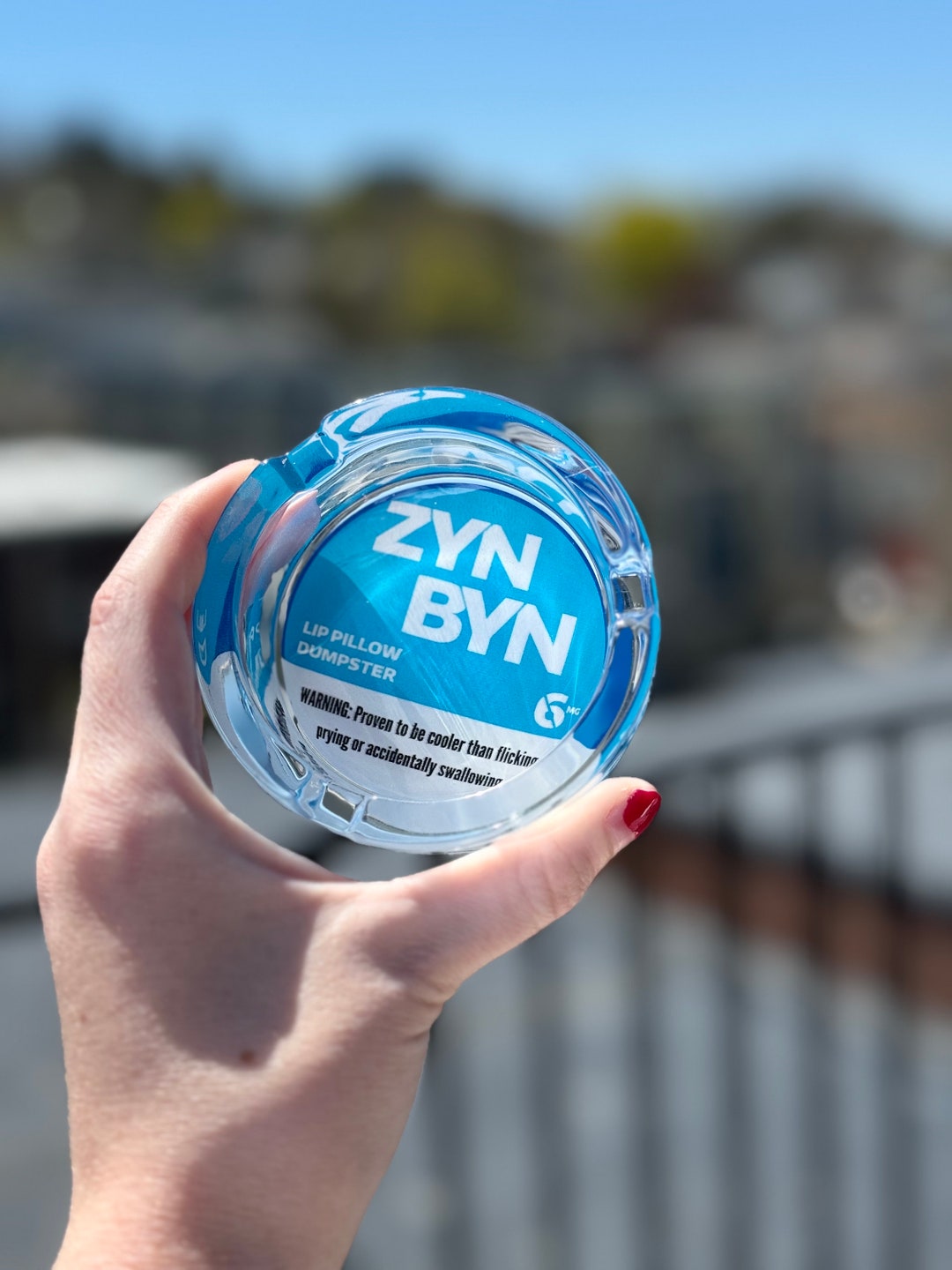 The Zynbyn: Official Lip Pillow Dumpster - Etsy