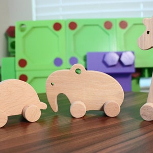 Wooden TURTLE Push Toy, Waldorf and Montessori Animal Toy. Personalized ...