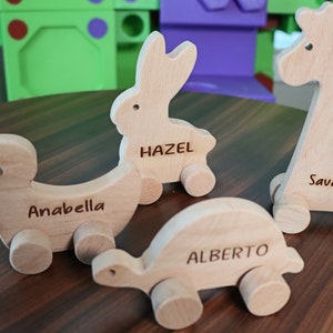 Wooden TURTLE Push Toy, Waldorf and Montessori Animal Toy. Personalized ...