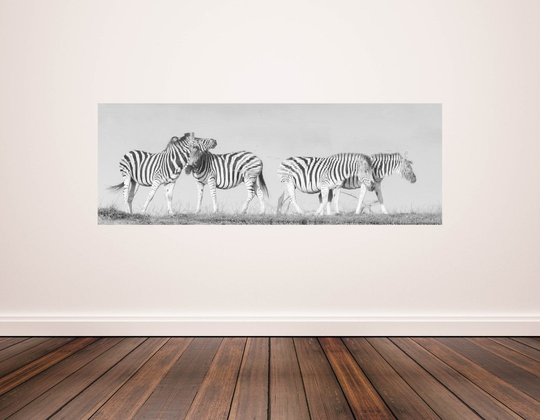 Zebra Mirror - Etsy