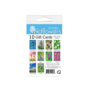 Wildflower Mini Gift Card Pack - Etsy