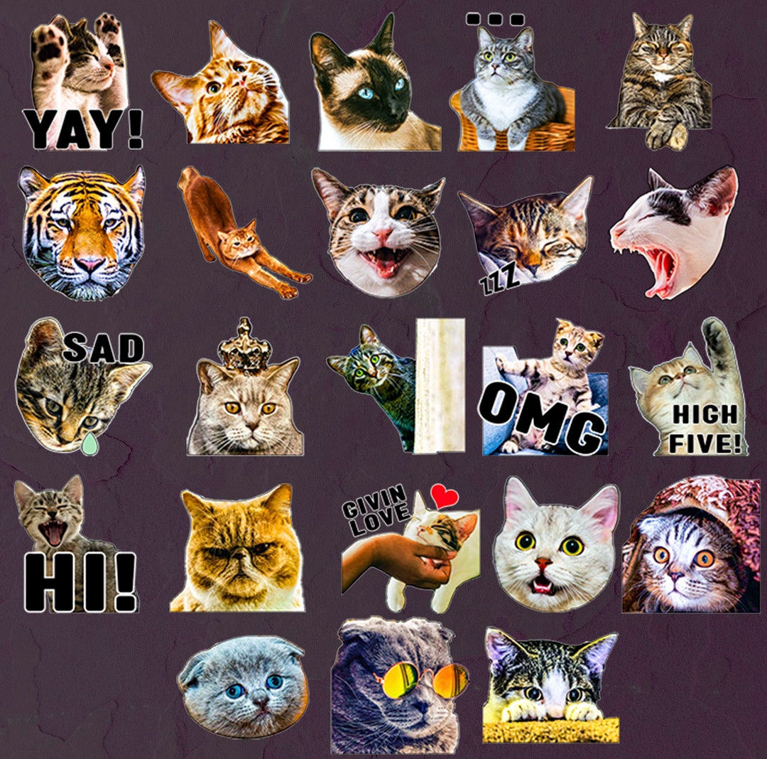 23 Funny Cat Photo Emotes for Twitch and Discord | Expressive Kitty ...