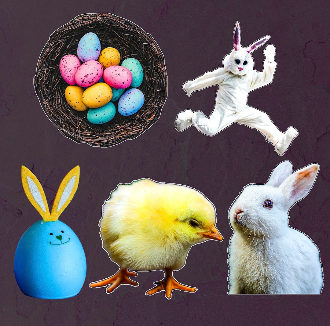 Spring Into Action With Our Easter Emote Collection! - Etsy