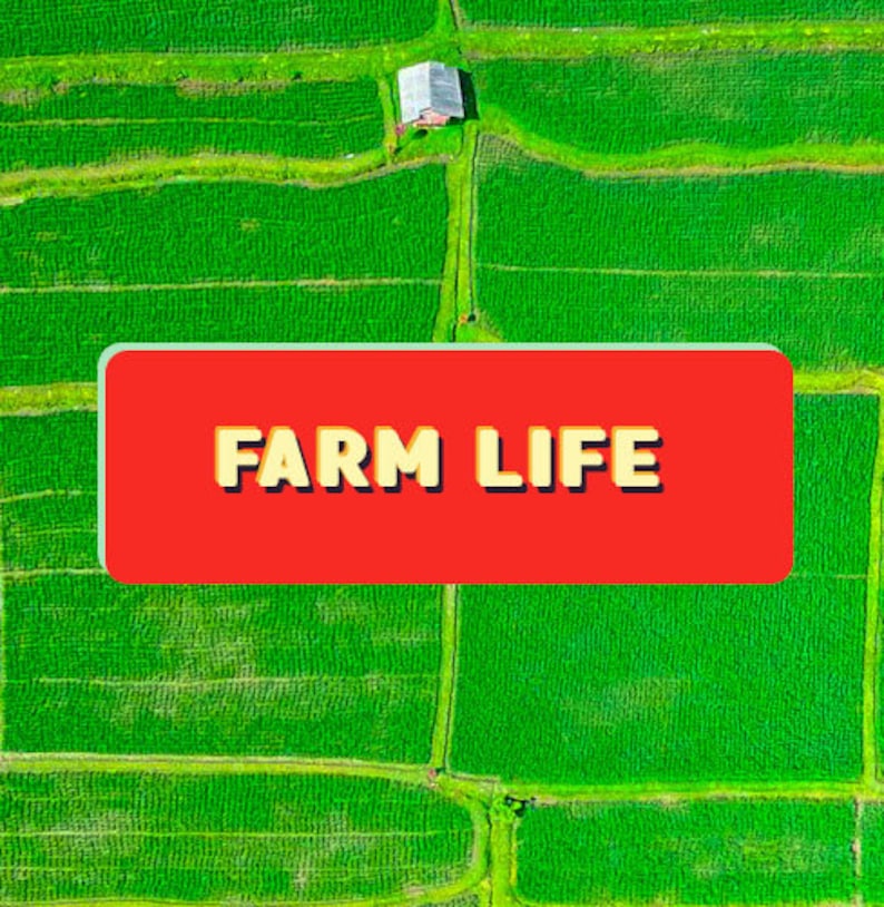 Farm Life Emote Collection | 14 Cute Creatures for Homesteaders and ...