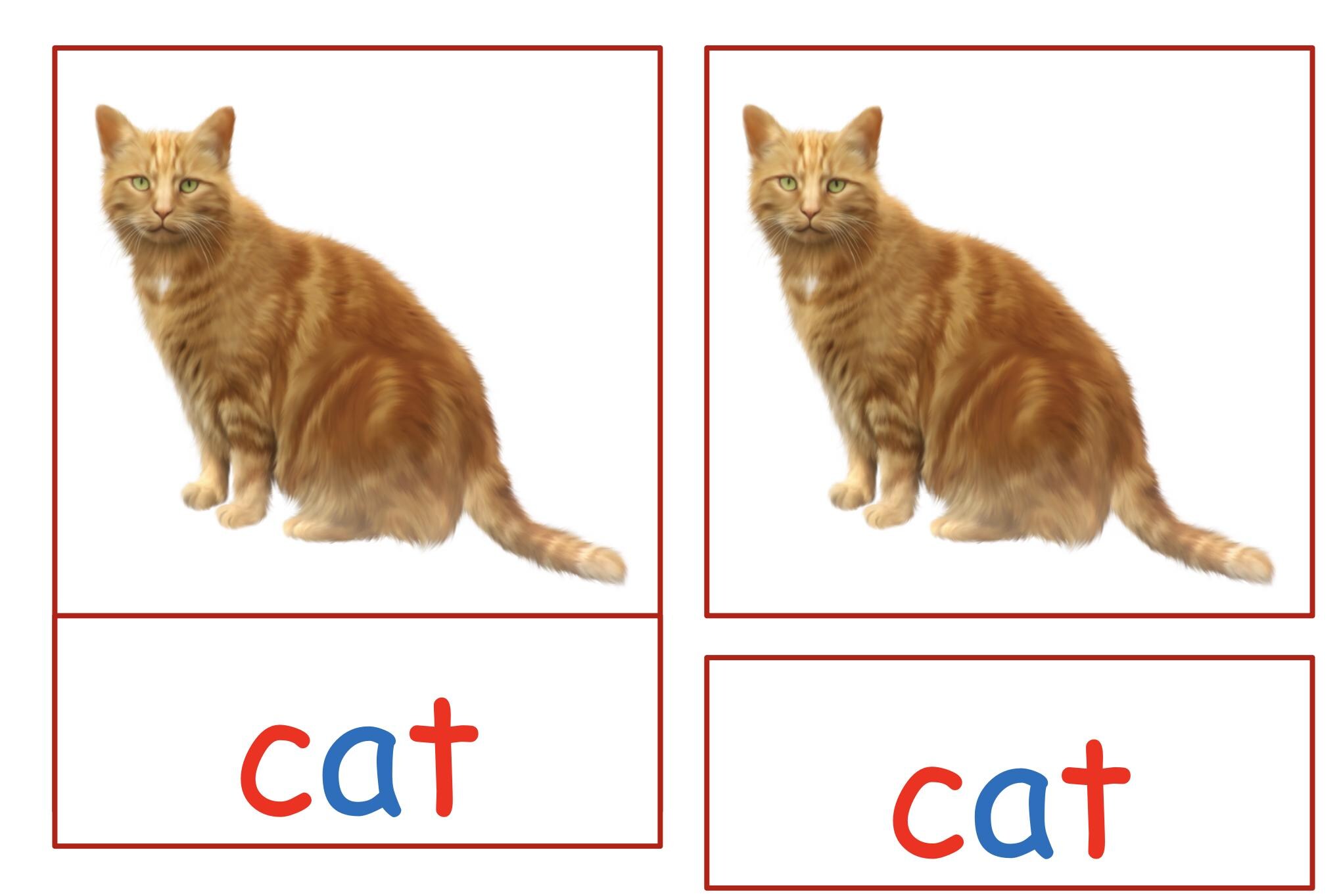 AT Words 3-part Cards | Early Literacy Matching Game - Etsy