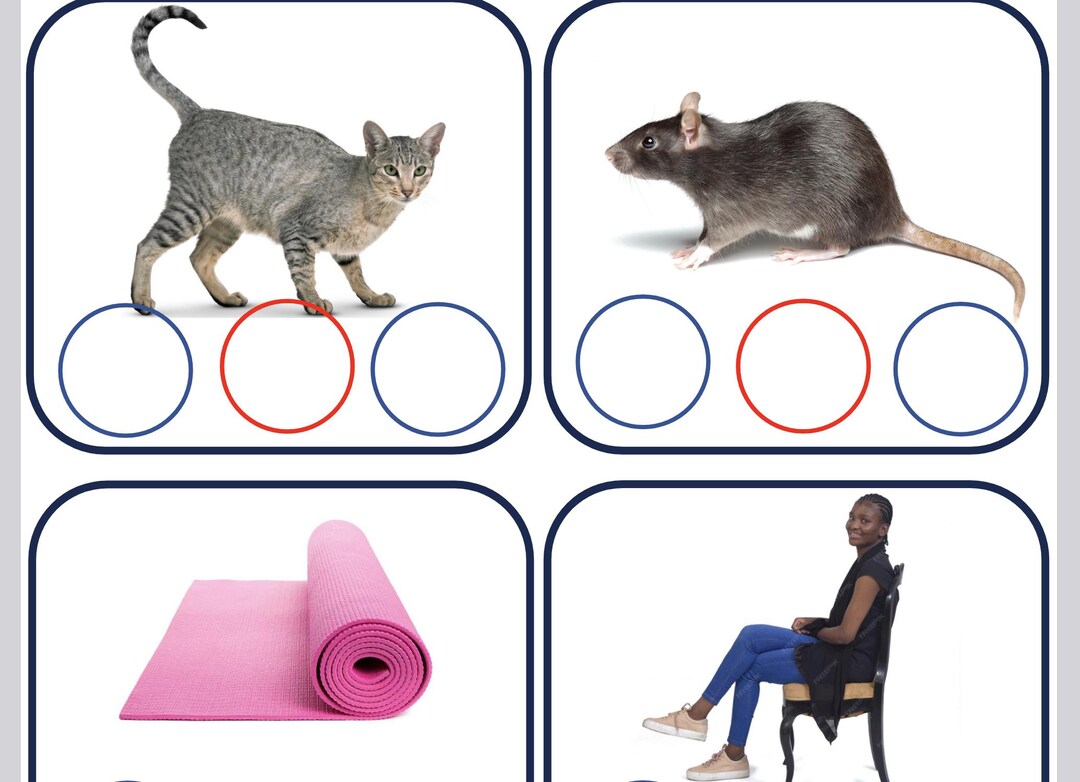 CVC Word Building Game: Phonics Letter Cards, Early Reading Activity ...