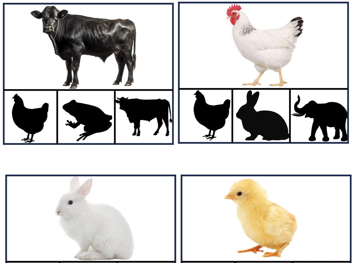 Shadow Matching Printable for Kids | Animal Silhouette Activity ...