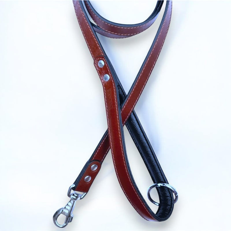 Bearded Dragon Pink Leash - Etsy