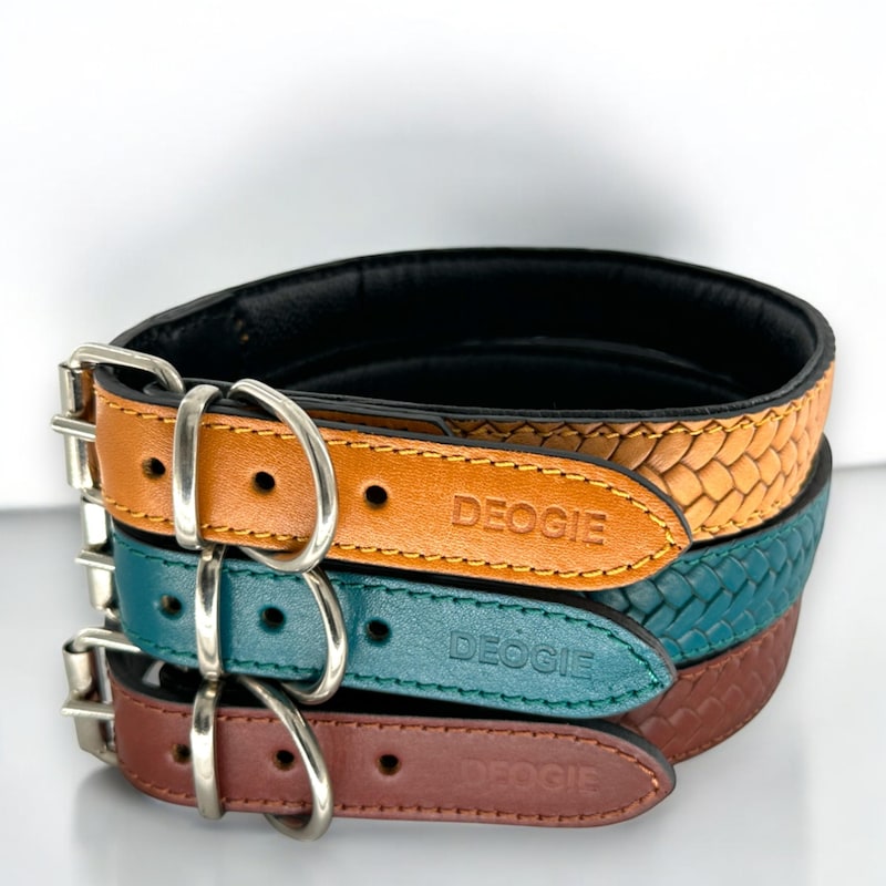 Leather Dog Collar Pattern - Etsy