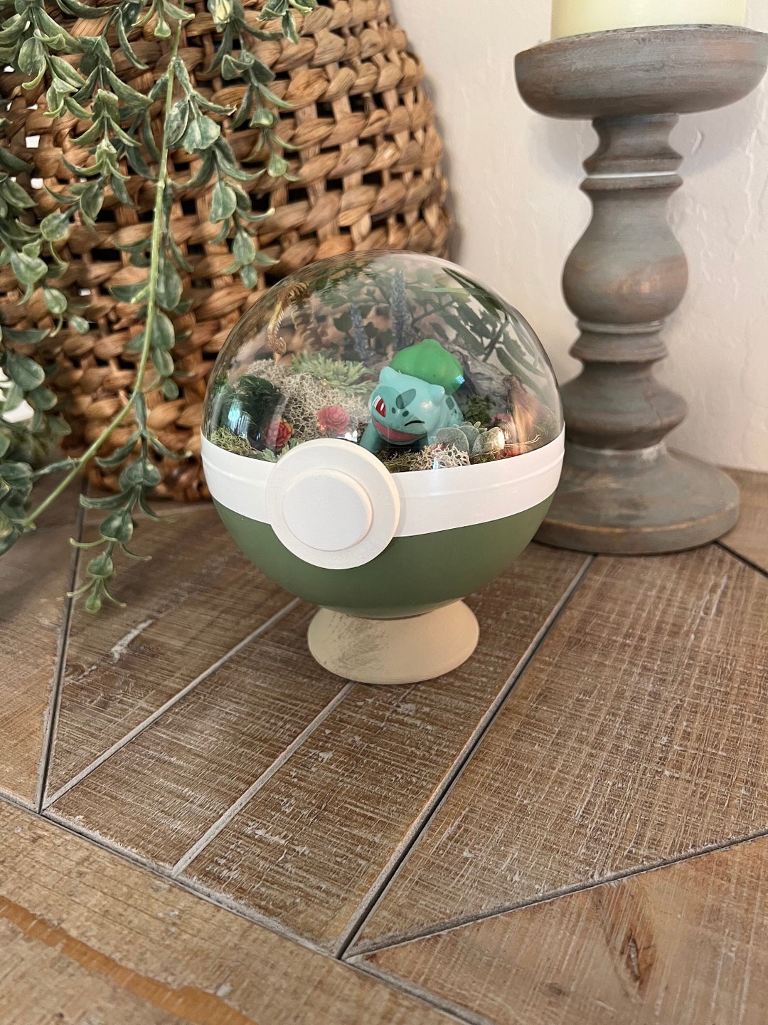 Light up Bulbasaur 5 Pokeball Terrarium - Etsy