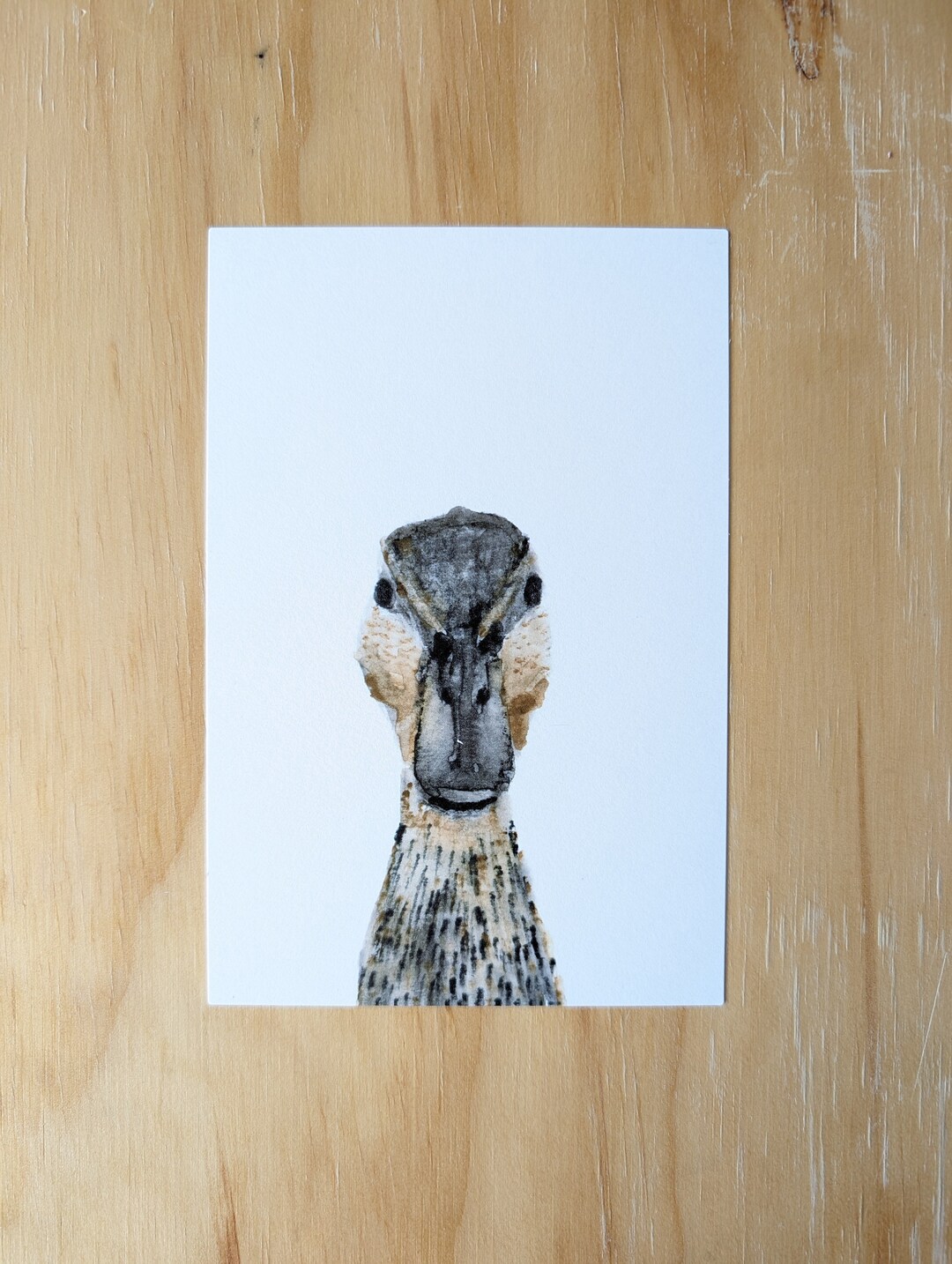 5-pack Watercolor Duck Print Notecards With Envelopes - Etsy