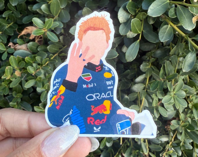 Max Verstappen’s 4th World Drivers Championship Win | Max Verstappen ...