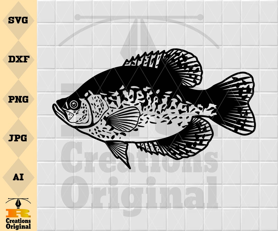 Crappie Fish | Panfish Fishing SVG | Angling SVG | Fish Decals Vinyl ...