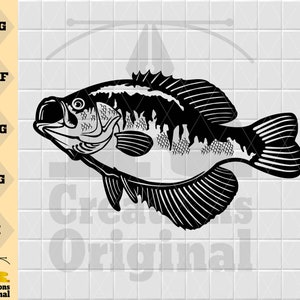 Crappie Fish SVG | Panfish Fishing SVG | Angling SVG | Fish Decals ...