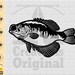 Crappie Fish SVG | Panfish Fishing SVG | Angling SVG | Fish Decals ...