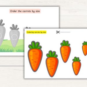 Carrot Size Ordering Printable: Preschool Math Worksheet (PDF Download ...