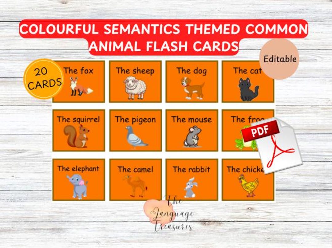 Animal Names Flash Cards for Pre School for Colourful Semantics Themed ...