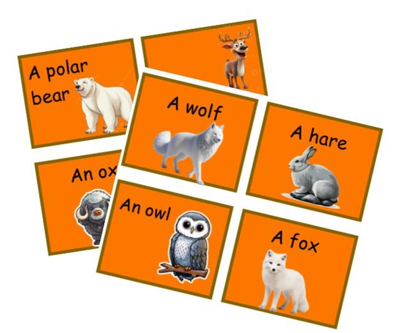 Polar Animal Names Flash Cards for Pre School for Colourful Semantics ...