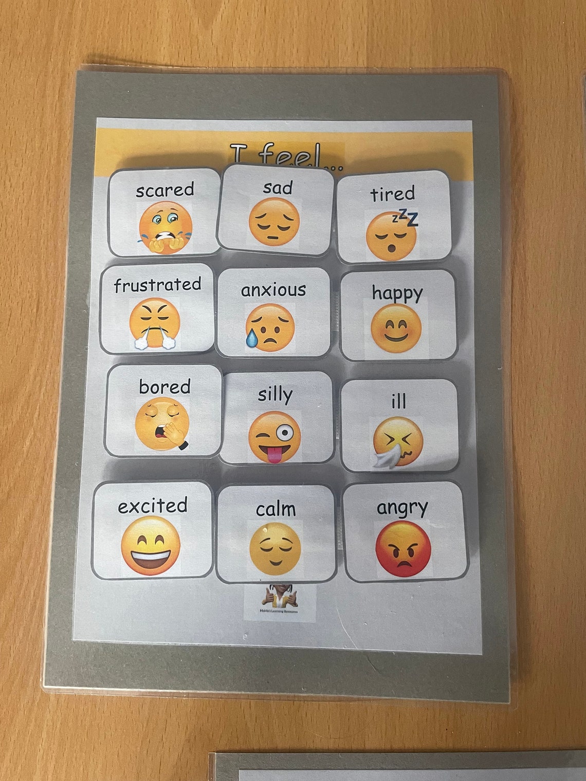 How Do I Feel Today? What Do I Need? Emotions Regulation ...