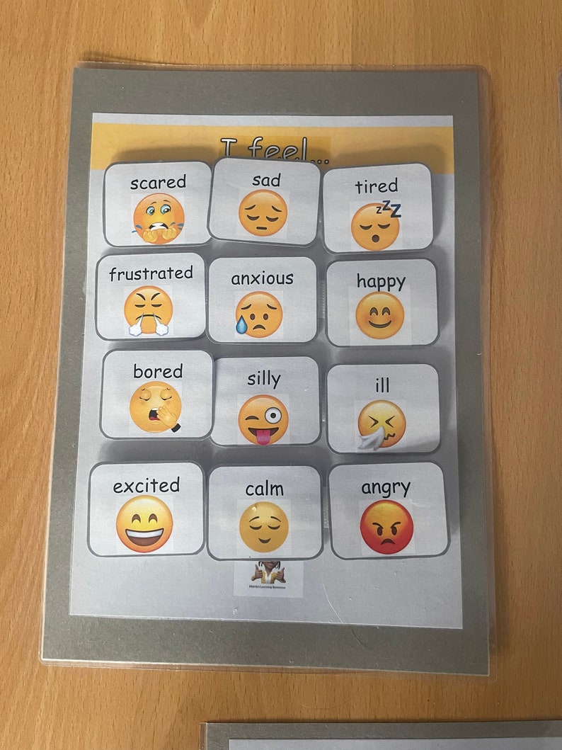 How Do I Feel Today? What Do I Need? Emotions Regulation ...