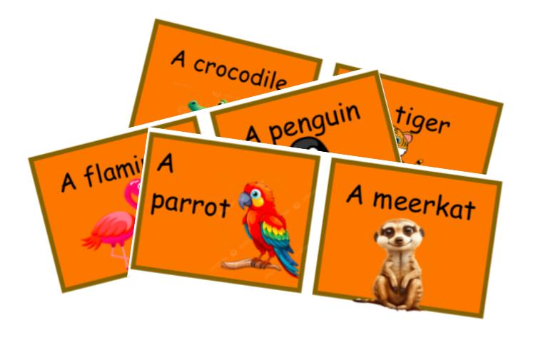 Zoo Animal Names Flash Cards for Pre School for Colourful Semantics ...