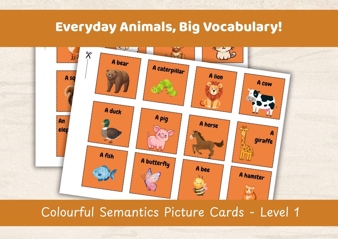 Preschool Animal Flash Cards Printables: Colourful Semantics Vocabulary ...