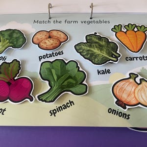 Fruit & Vegetable Matching Game: Preschool Nutrition Lesson (PDF ...