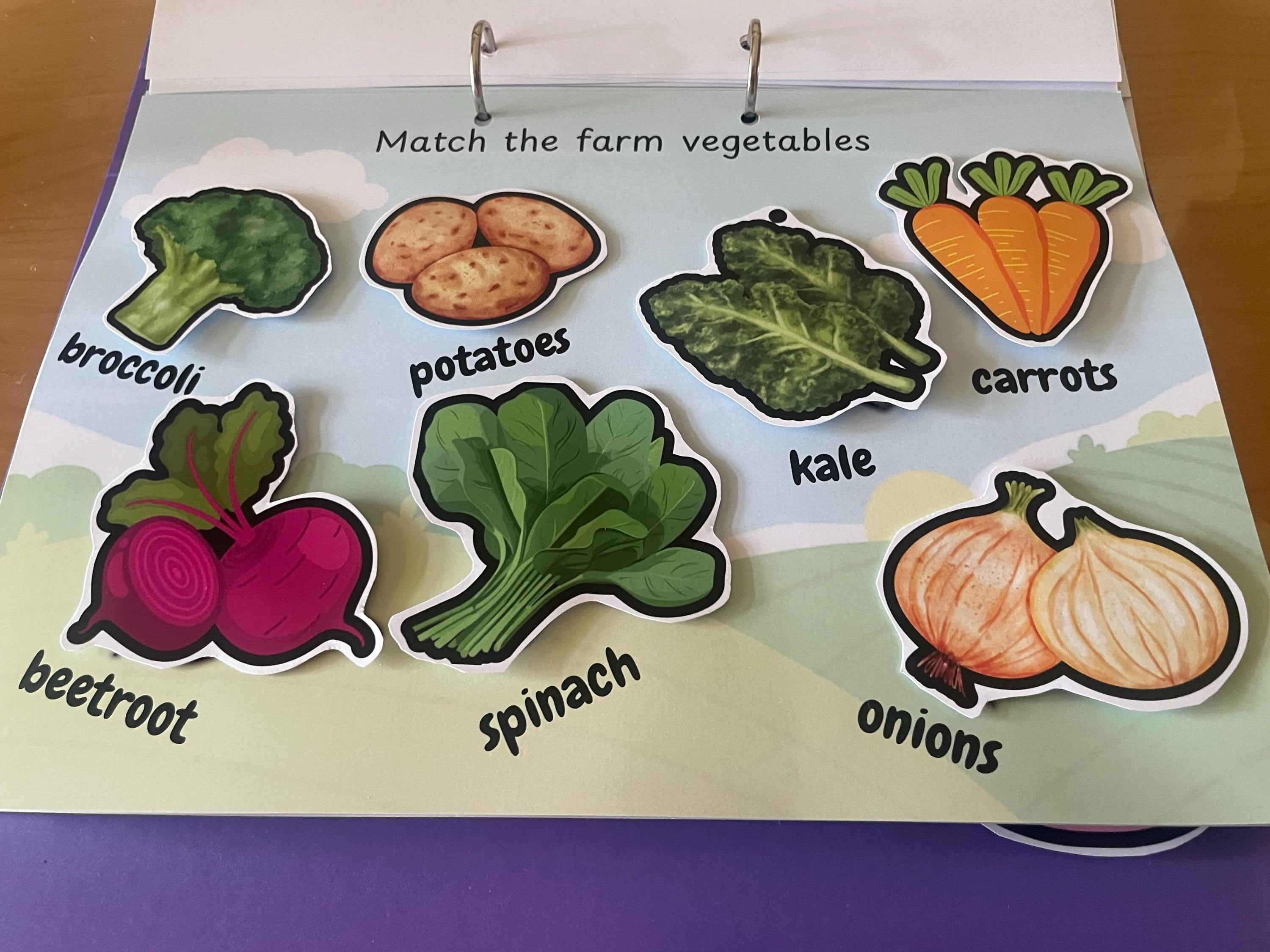 Fruit & Vegetable Matching Game: Preschool Nutrition Lesson (PDF ...