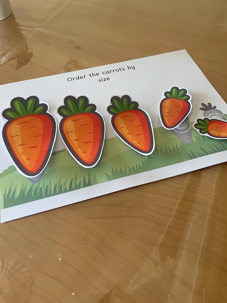 Carrot Size Ordering Printable: Preschool Math Worksheet (PDF Download ...