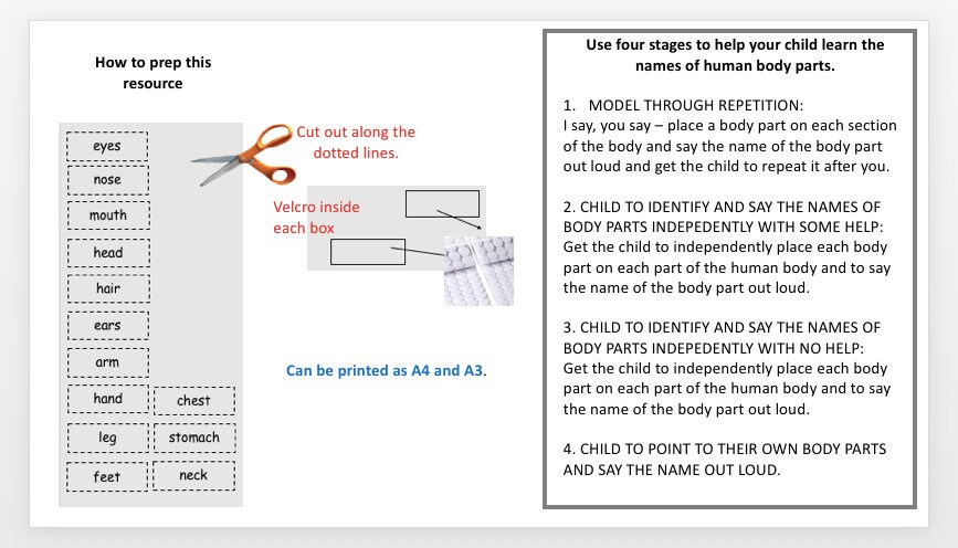 Body Parts Vocabulary Builder: Autism & Speech Delay (download) - Etsy