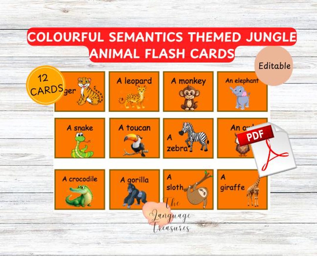 Jungle Animal Flash Cards for Pre School for Colourful Semantics Themed ...