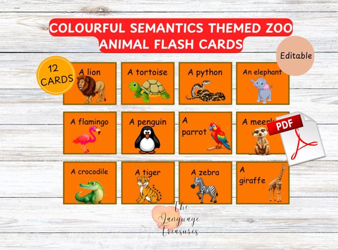 Zoo Animal Names Flash Cards for Pre School for Colourful Semantics ...